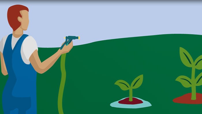 Grid Controlled Fluoroscopy – dose rate reduction | Philips